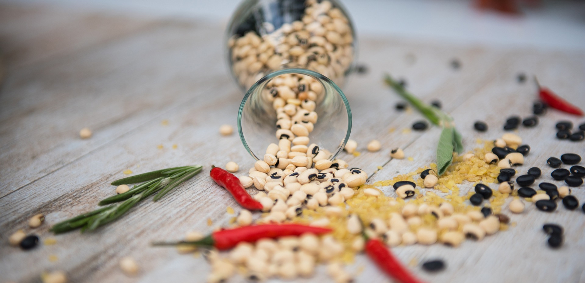 Orpington Citi Kitchen | Explore Our Authentic Indian Dishes Gallery
